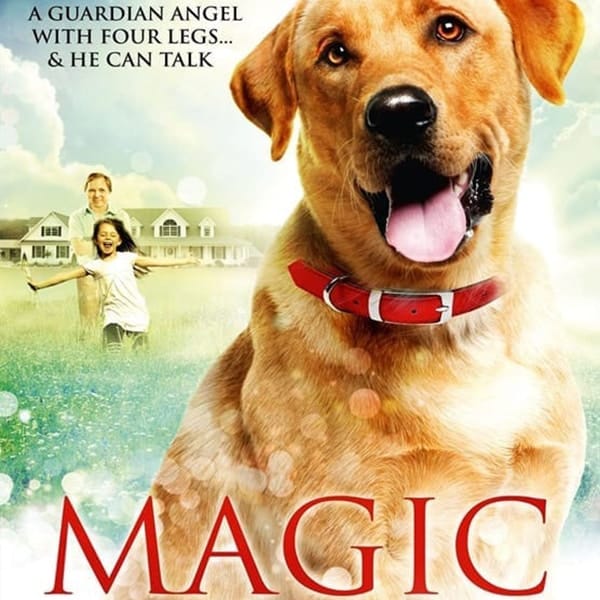 Magic (2010) - FAMES